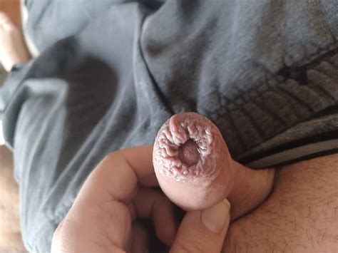 Wet Cock 8 Pics Xhamster