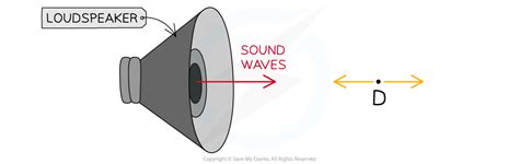 Transverse And Longitudinal Waves Edexcel Igcse Physics Modular Revision Notes 2024