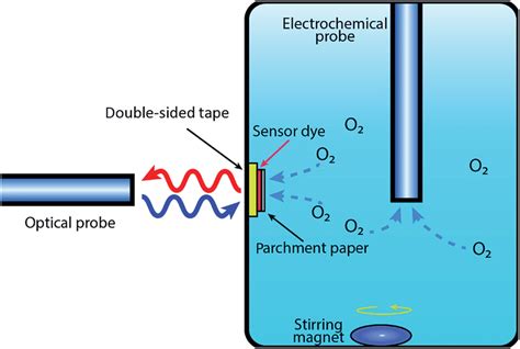 A Schematic Showing An Experimental Setup For Testing The Oxygen Sensor Download Scientific