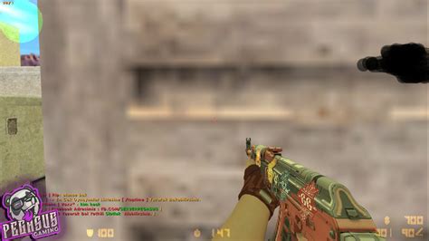 Cs 1 6 CSGO Mod Server En İyisi Pegasus Gaming CSDuragi COM Forum