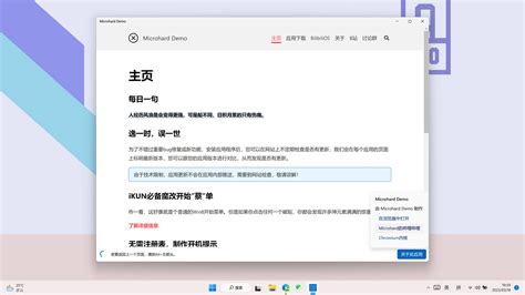 【winui】webview2控件，但是uwp chromium内核 哔哩哔哩
