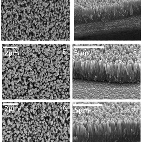SEM Image Of TiO2 Nanorod At The Different Reaction Time Top And Cross Download Scientific