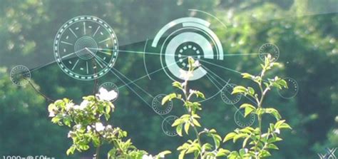 Inheritance Single Inheritance In C