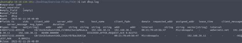 Tryhackme Zeek Walkthrough Soc Level 1 Jasper Alblas Cybersecurity Lab