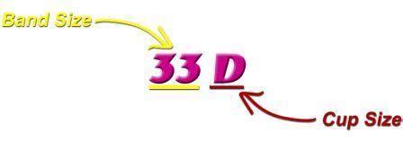 Sex Doll Bra Sizing Guide For You Love Doll A Guide By Industry Expert