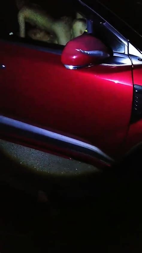 Japan Police Body Cam Leaked