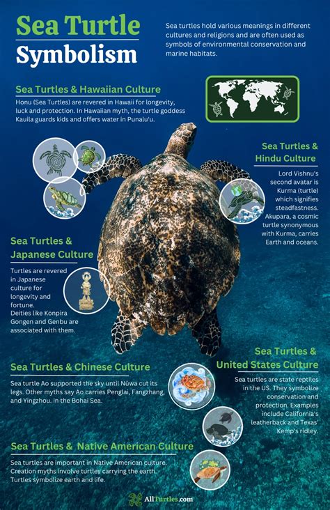 Sea Turtle Symbolism Legends Myths And Modern Significance