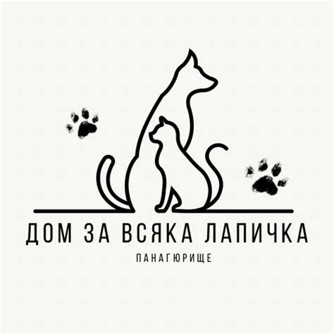 🐾 Валето търси своя човек 🐾 Някога имаше дом… но един ден я изхвърлиха на пътя Тя чакаше