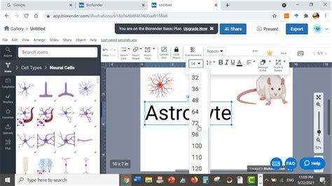 How To Use Biorender To Create Figure Or Graphic Abstract Dr Esraa