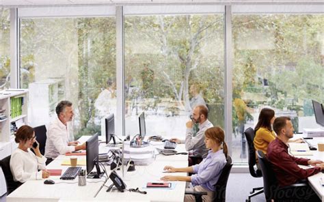 概述——ifrs可持续发展联盟 下载bob