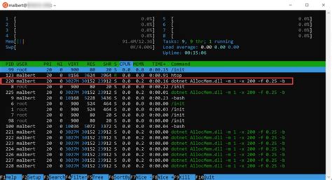A Tool To Leak Memory On Windows Linux And Within Containers Mihai