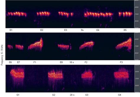 Spectrograms Of Three Recording Sessions With Three Different Types Of