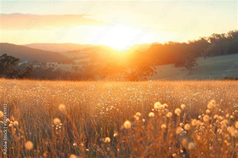 Golden Hour Landscape A Serene Landscape Captured During The Golden