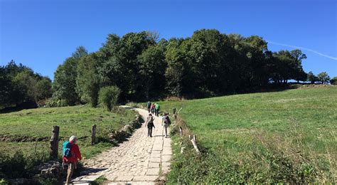 산티아고 순례길 코스 비용 준비물 일정 걷기 좋은 시기 기본 정보