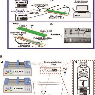 A Scheme A Schematic Illustration Of The Microfluidic Chip Based Download Scientific