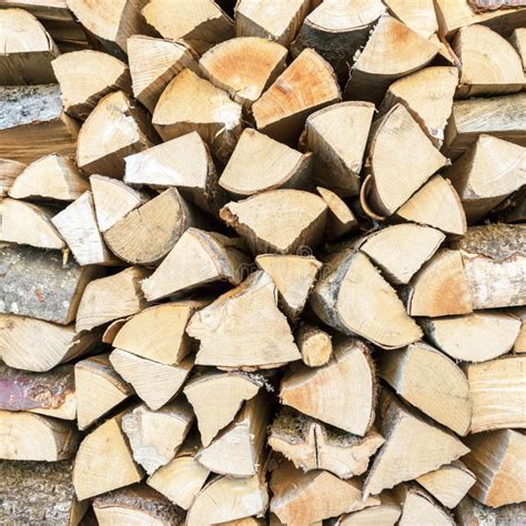 Stacked Wooden Logs Stock Image Image Of Bark Outdoors 262646763
