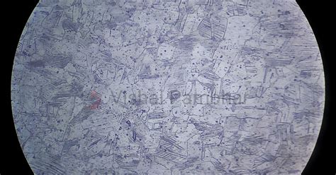 Metallurgical And Material Science Aisi 316 Ss 316 Microstructure 🔬 Austenetic Stainless Steel