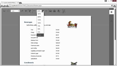 Devexpress Reports Html5 Document Viewer Youtube