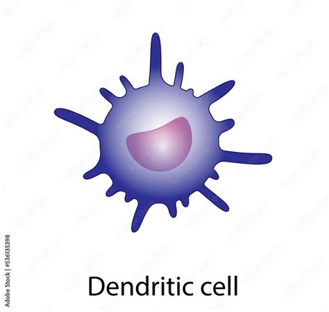 Dendritic Cell Of Immune System Stained Microscopic Cell Vector Illustration Stock Vector