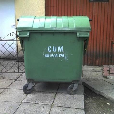 Stream S A Cd Shes A Cum Dumpster Prod By Djziggi By If Your Not 1st Your Last Listen