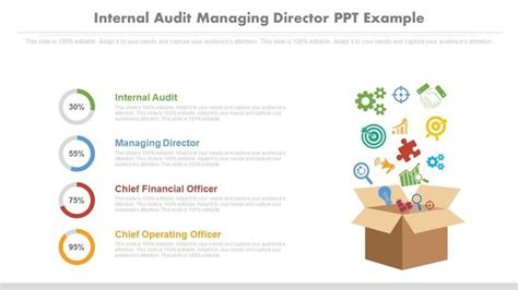 Internal Audit Managing Director Ppt Example Slide01 Internal Audit Free Presentation