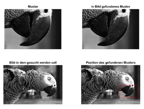 Github Kianwasabi Detect Pattern In Image Matlab Script That Detects A Pattern In An Image