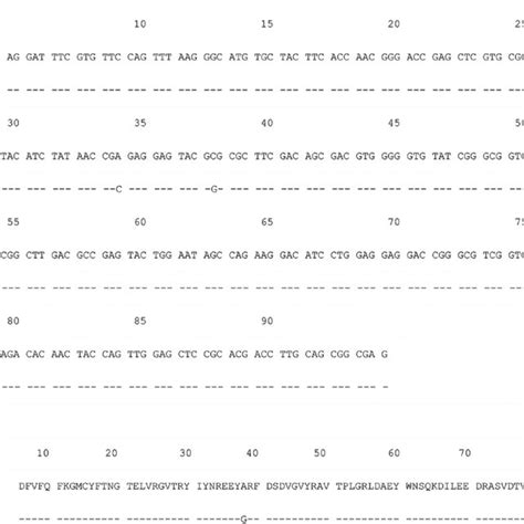 The Nucleotide Sequence A And Corresponding Amino Acid Sequence B Download Scientific