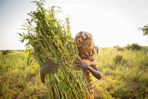 The Future Of Nature Based Solutions For Adaptation And Resilience Driving Ambition And Action