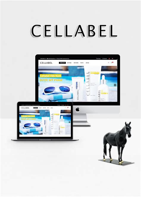 Cellabel Việt Nam - South Team