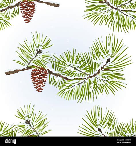 Seamless Texture Pine And Pine Cone Branch Winter Snowy Natural Background Vintage Vector