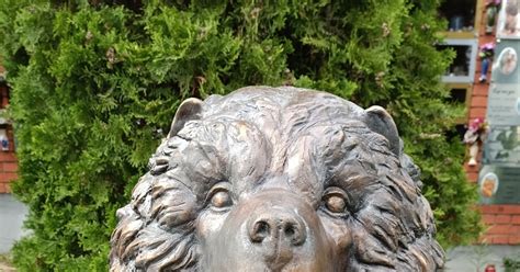 Кладбище домашних животных Пикабу