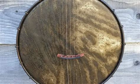 4 String Vs 5 String Banjo How To Choose The Perfect Instrument