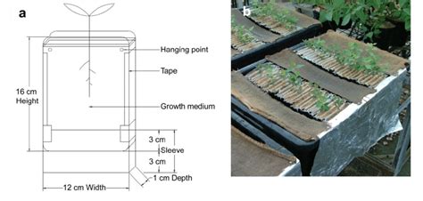 4 A Growth Container Used In The In Situ Seedling Bioassay
