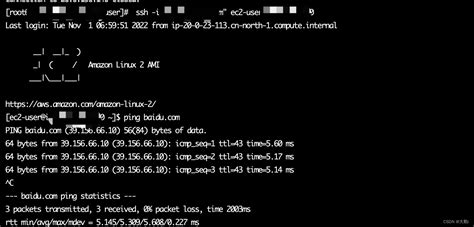 aws vpc nat网关（私有子网访问internet aws nat csdn博客