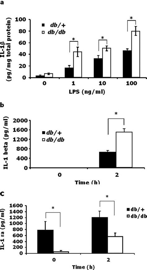 il 1β mediated innate immunity is amplified in the db db mouse model of