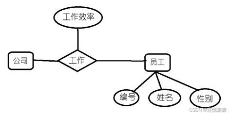 数据库设计（e R图以及关系模型的转换）根据数据库表画e R图怎么画 Csdn博客