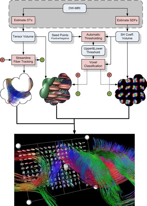 Schematic Diagram Of Our Visualization Framework Download Scientific