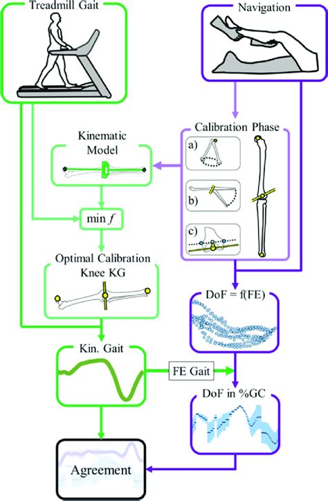 Workflow Of Kinematic Measurements And Data Analysis Min F Represents