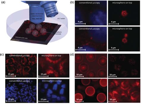 Figure 4 From Advances In Microsphere Based Super Resolution Imaging Semantic Scholar