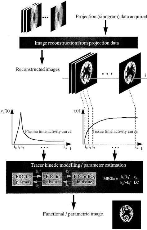Generation Of Parametric Images Using The Conventional Pixel By Pixel Download Scientific