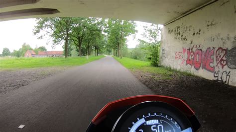 Tree Detection Object Detection Dataset And Pre Trained Model By