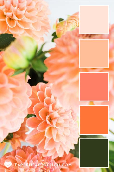 Pantone 2024 Color Of The Year Peach Fuzz Artofit
