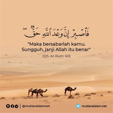 Kata Bijak Al Quran Tentang Cinta Dalchaebi