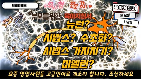 조기교육 파헤치기 시넵스 가지치기 뉴런등 대충만 알아두세요~ Youtube