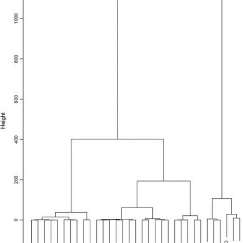 Dendrogram Resulting From The Hierarchical Clustering Algorithm Applied