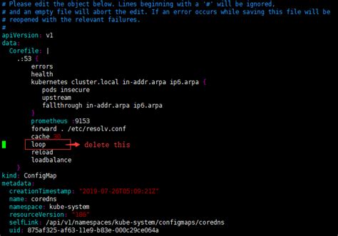 coredns pods on master are in crashloopbackoff after setting up pod networking · issue 1688