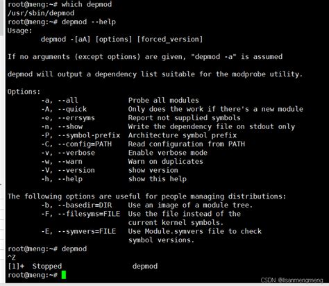 linux 操作系统下的 depmod 命令介绍和使用案例 CSDN博客