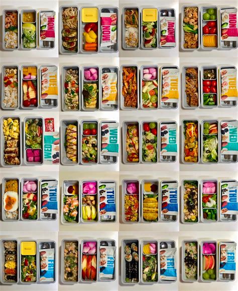 브런치북 하루 한 끼 식용곤충