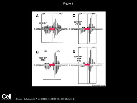 Virtually Unidirectional Binding Of TBP To The AdMLP TATA Box Within The Quaternary Complex With
