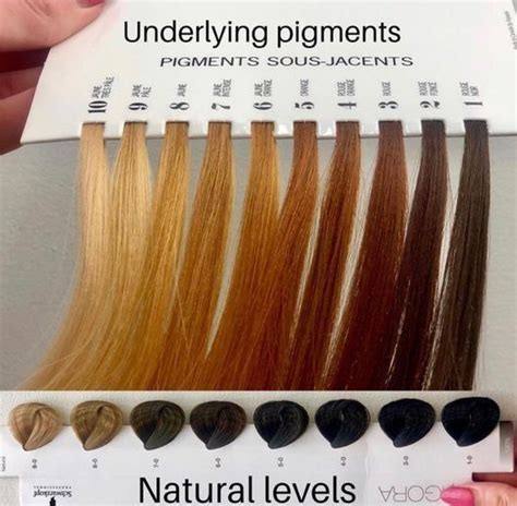 Hair Toner Charts